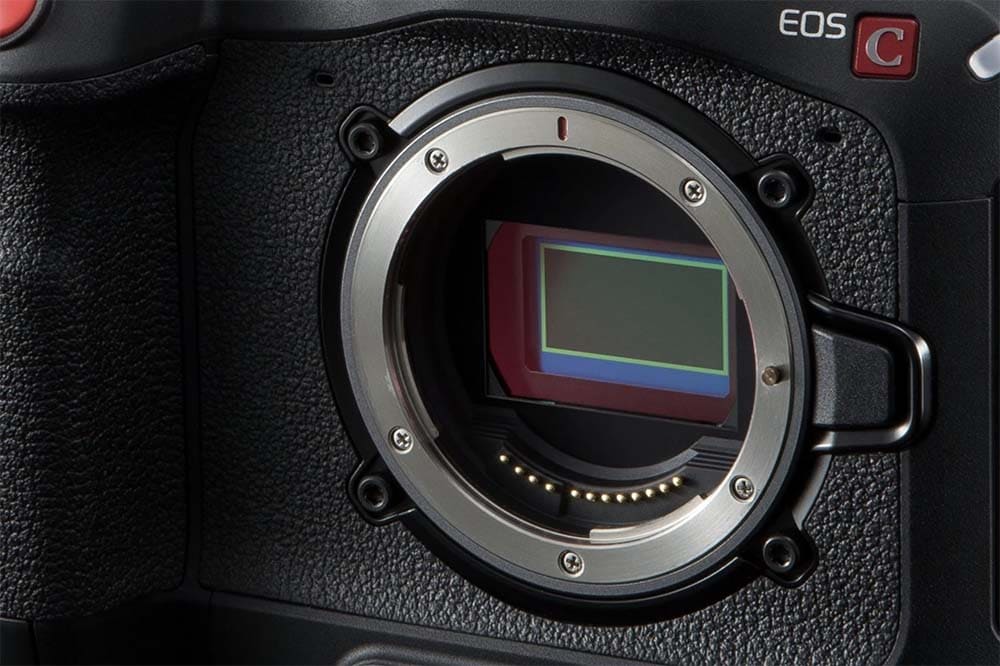 Sony vs Canon: Which One is Better for Photographers? - Clipping Path ...